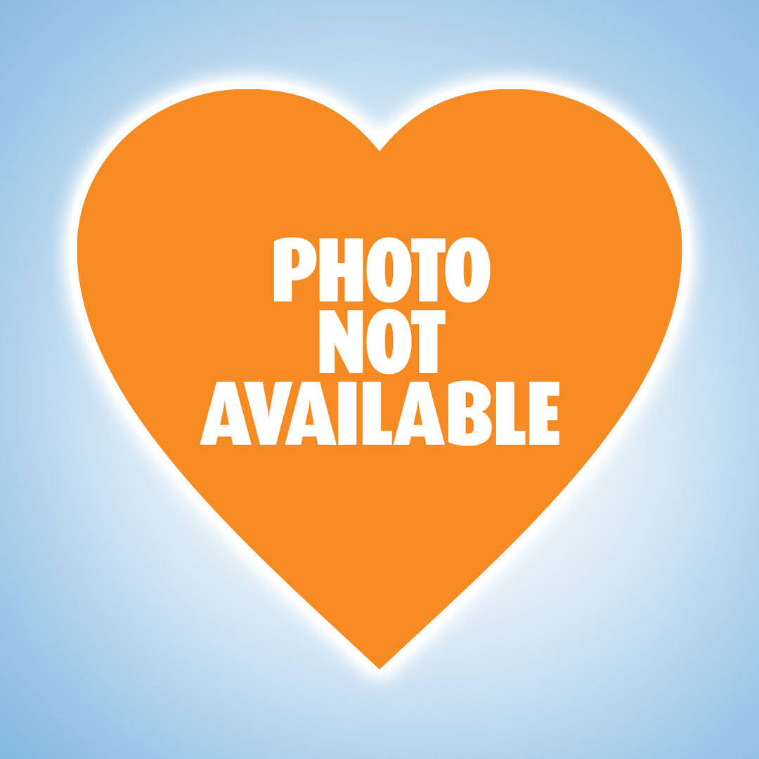 Drive Medical Full Length Hospital Bed Side Rails in Full Length ...